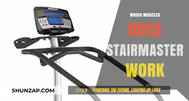 Row Machine Muscles: Targeted Back, Arms, And Core Workout Explained ...