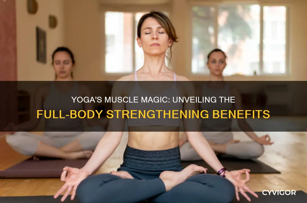 Yoga's Muscle Magic: Unveiling The Full-Body Strengthening Benefits ...