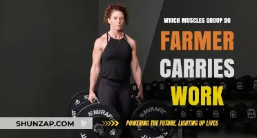 Stairmaster Muscle Workout: Targeting Legs, Glutes, And Core ...