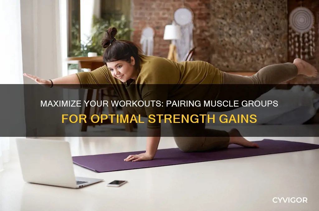Maximize Your Workouts: Pairing Muscle Groups For Optimal Strength ...