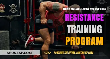 Tennis Workout: Targeted Muscles For Strength, Agility, And Endurance ...