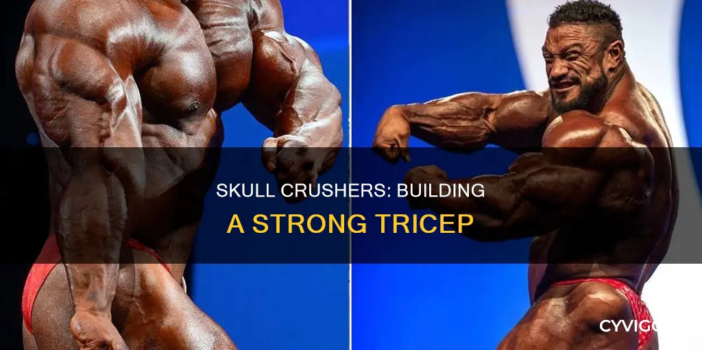 Skull Crushers: Building A Strong Tricep | CyVigor