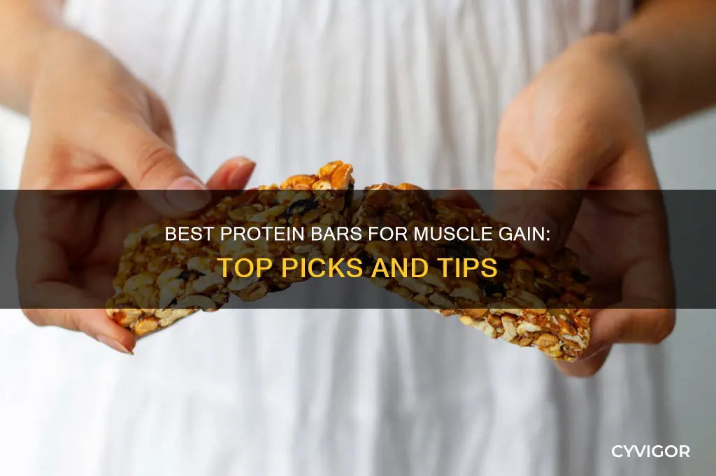 Best Protein Bars For Muscle Gain: Top Picks And Tips | CyVigor