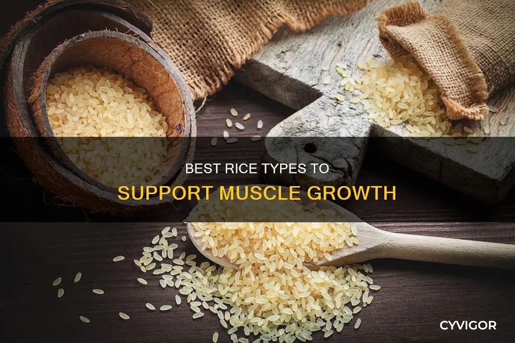 Best Rice Types To Support Muscle Growth | CyVigor
