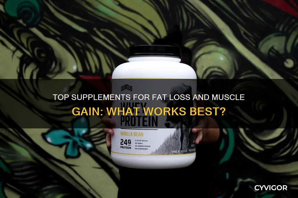 Top Supplements For Fat Loss And Muscle Gain: What Works Best? | CyVigor