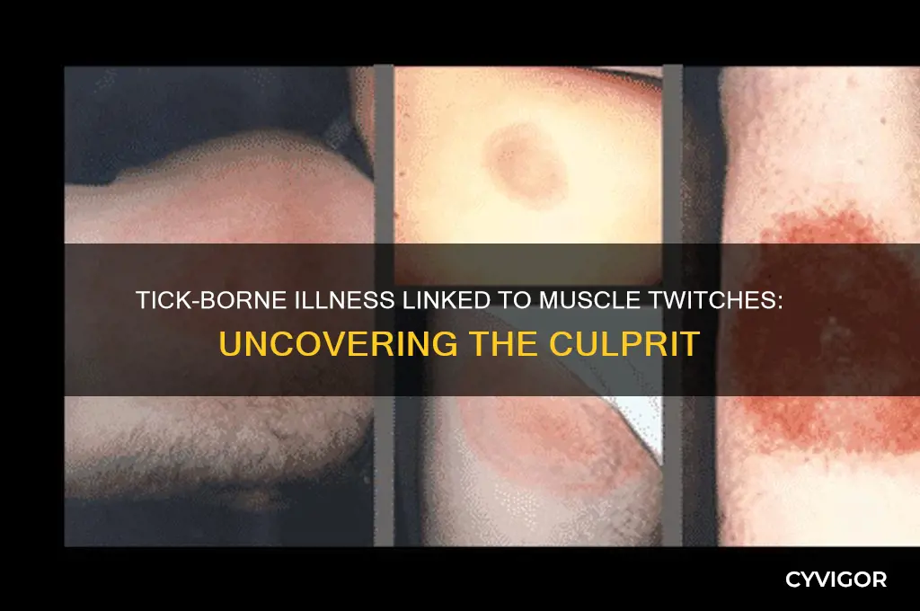 Tick-Borne Illness Linked To Muscle Twitches: Uncovering The Culprit ...