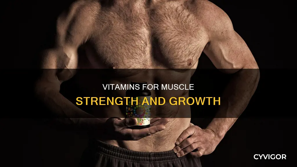 Vitamins For Muscle Strength And Growth | CyVigor