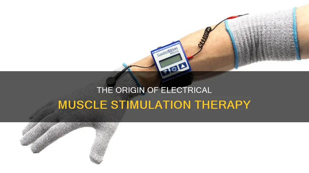 The Origin Of Electrical Muscle Stimulation Therapy | CyVigor