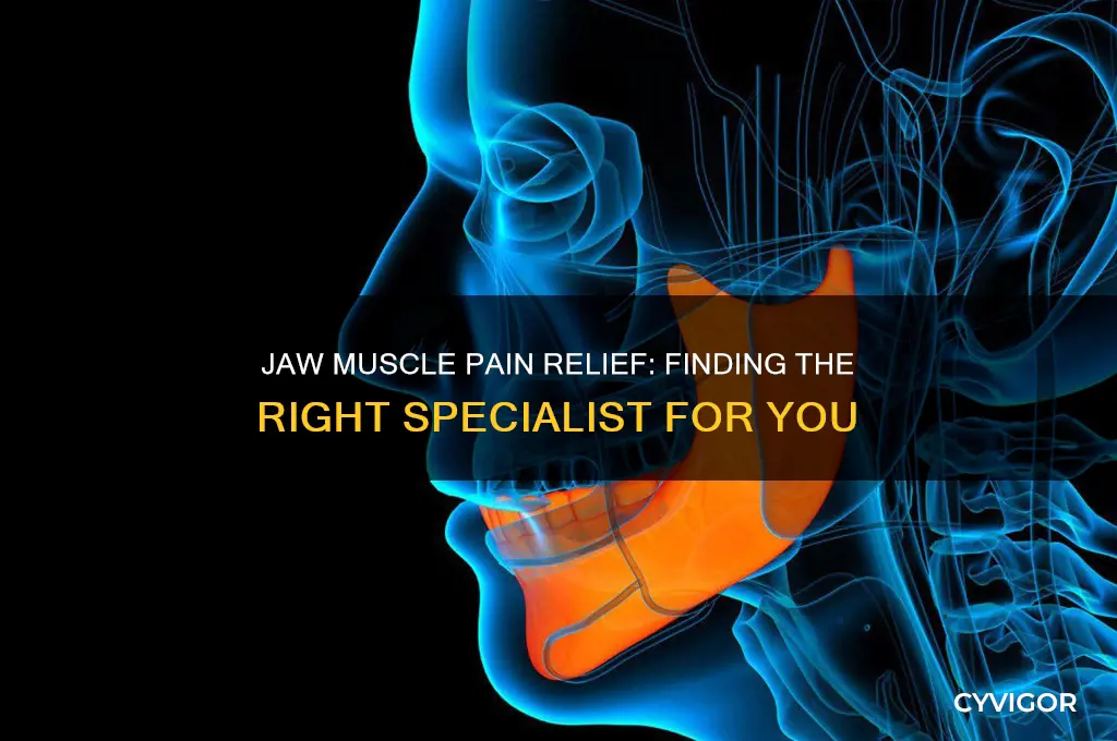 Jaw Muscle Pain Relief: Finding The Right Specialist For You | CyVigor