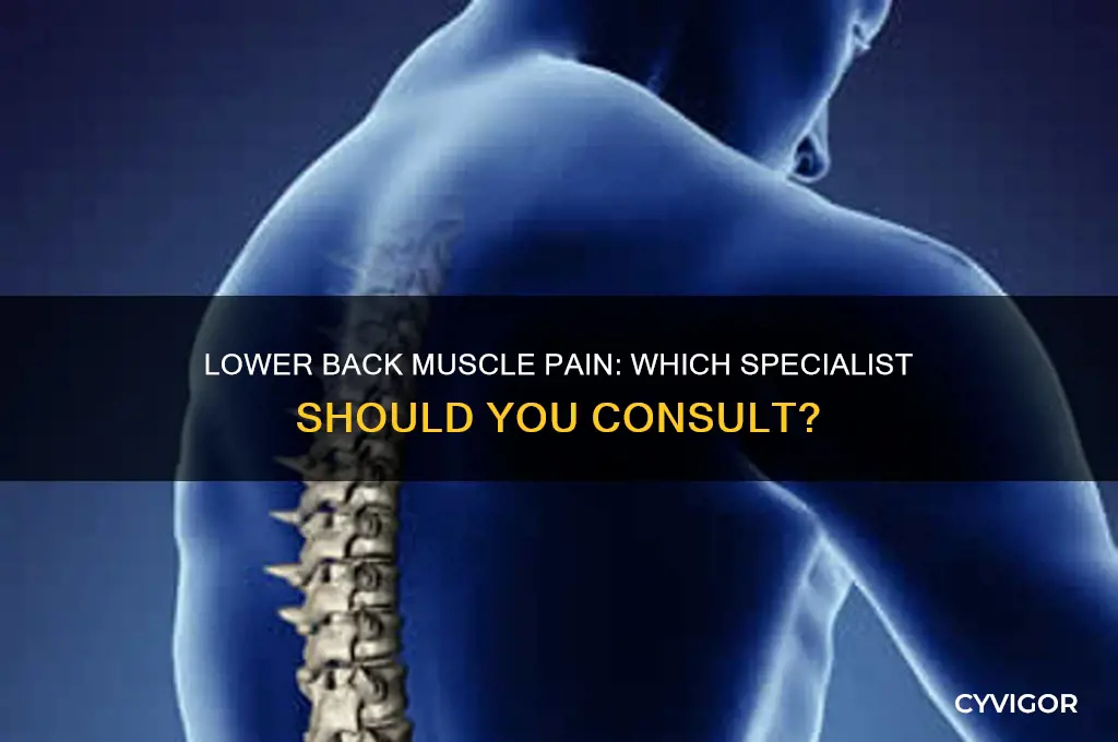 Lower Back Muscle Pain: Which Specialist Should You Consult? | CyVigor