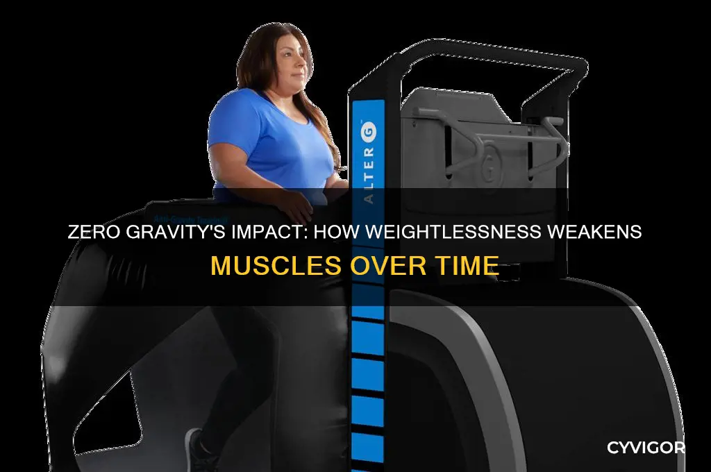 Zero Gravity's Impact: How Weightlessness Weakens Muscles Over Time ...