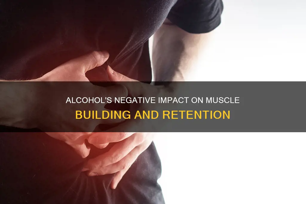 Alcohol's Negative Impact On Muscle Building And Retention | CyVigor