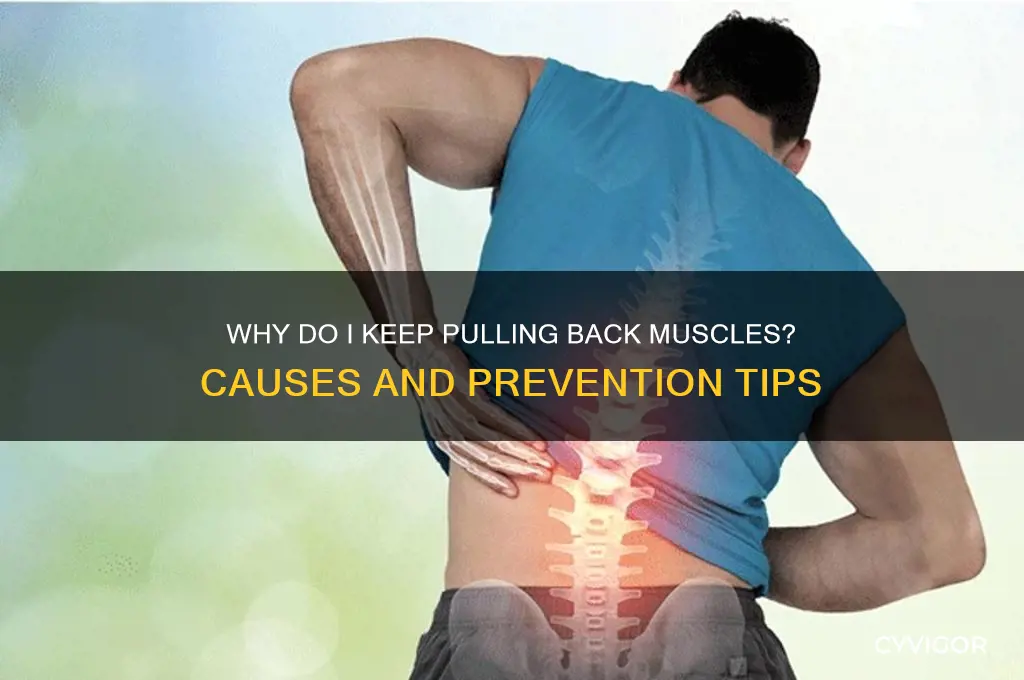 Why Do I Keep Pulling Back Muscles? Causes And Prevention Tips | CyVigor