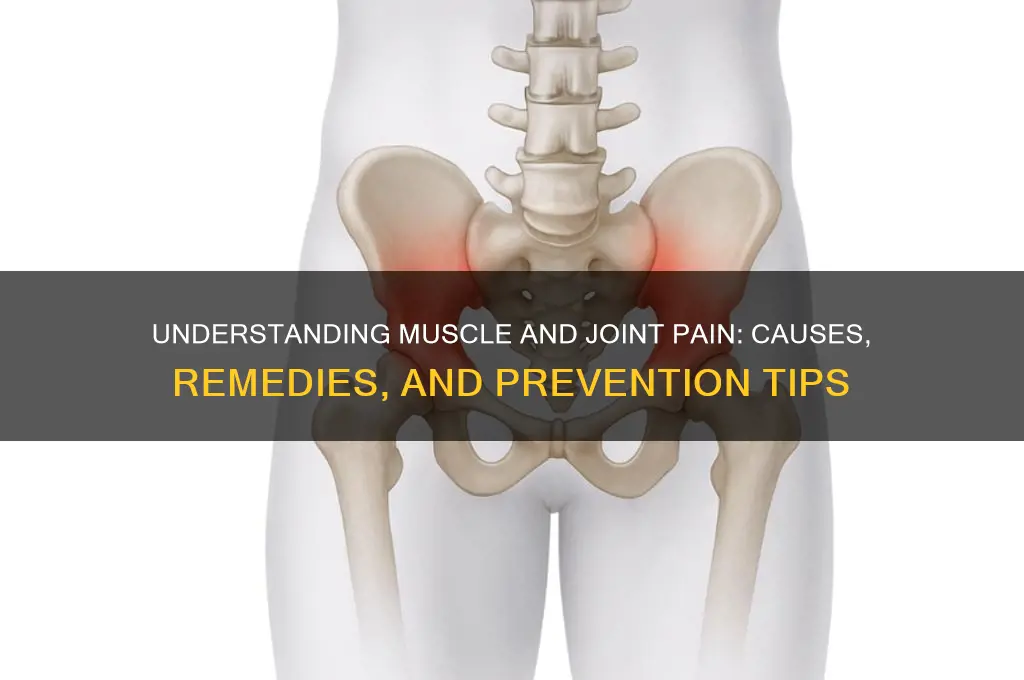 Understanding Muscle And Joint Pain: Causes, Remedies, And Prevention ...