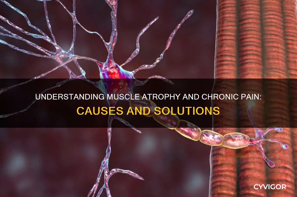 Understanding Muscle Atrophy And Chronic Pain: Causes And Solutions ...