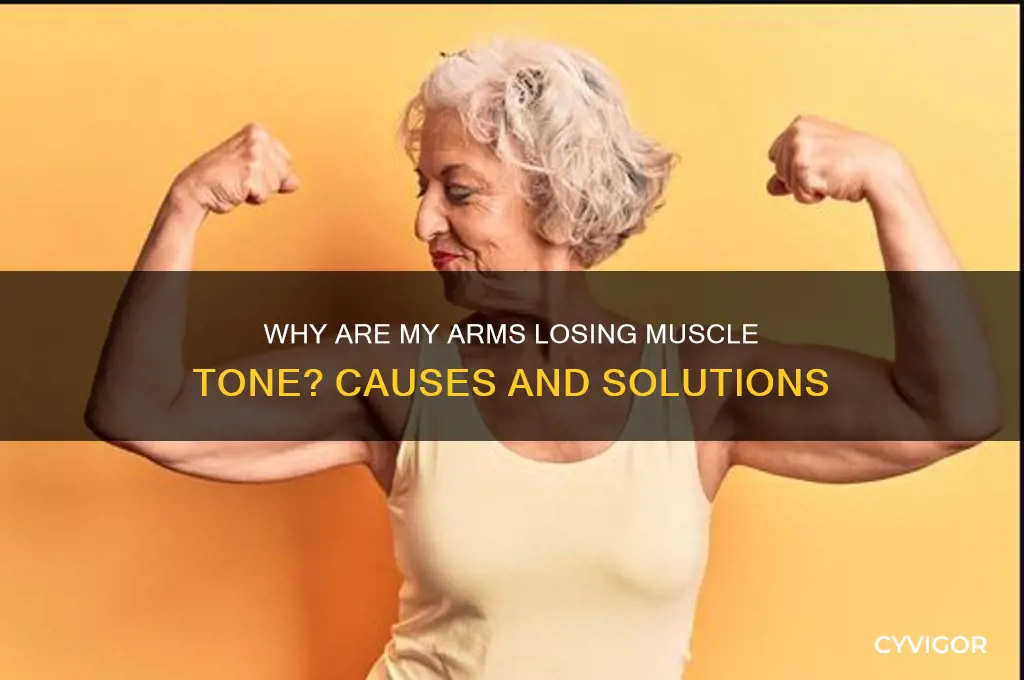 Why Are My Arms Losing Muscle Tone? Causes And Solutions | CyVigor