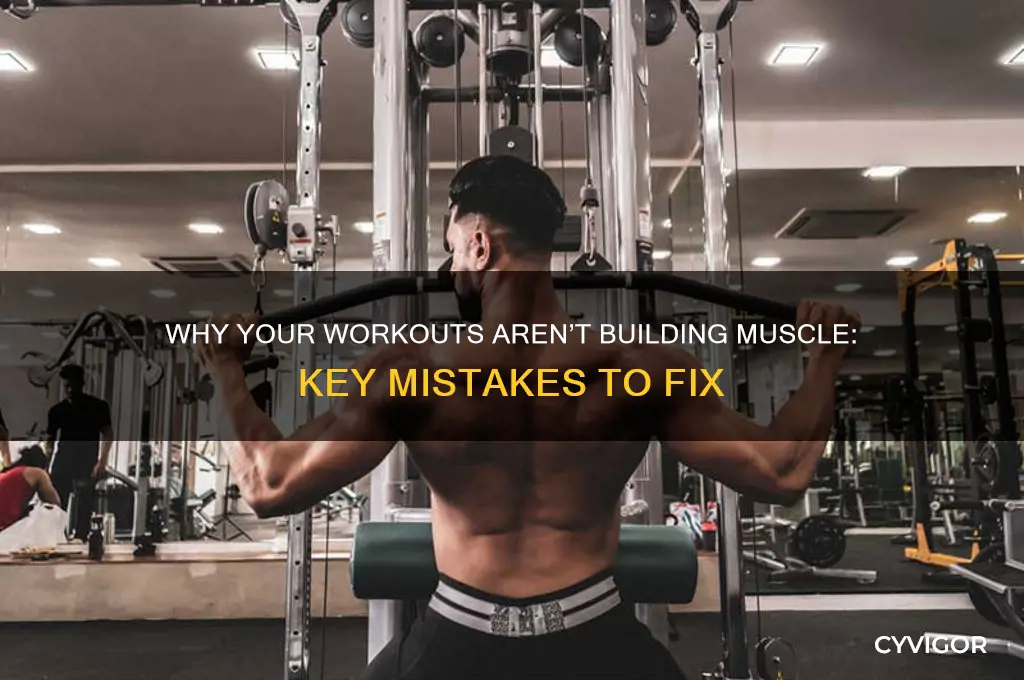 Why Your Workouts Aren’T Building Muscle: Key Mistakes To Fix | CyVigor