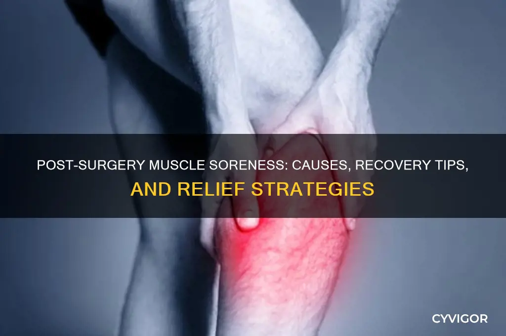 Post-Surgery Muscle Soreness: Causes, Recovery Tips, And Relief ...