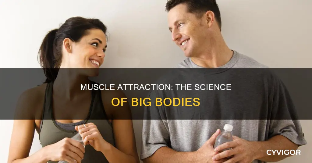 Muscle Attraction: The Science Of Big Bodies | CyVigor