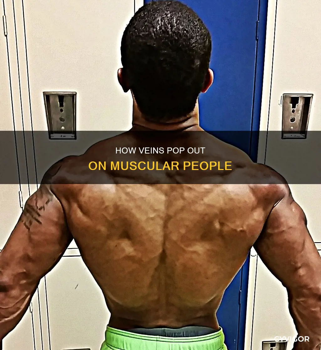 How Veins Pop Out On Muscular People | CyVigor
