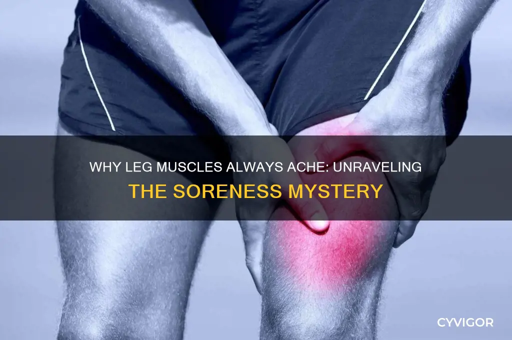 Why Leg Muscles Always Ache: Unraveling The Soreness Mystery | CyVigor