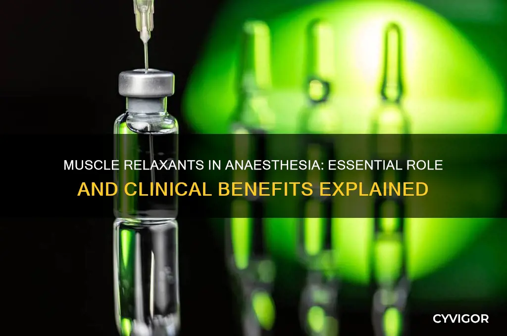 Muscle Relaxants In Anaesthesia: Essential Role And Clinical Benefits ...