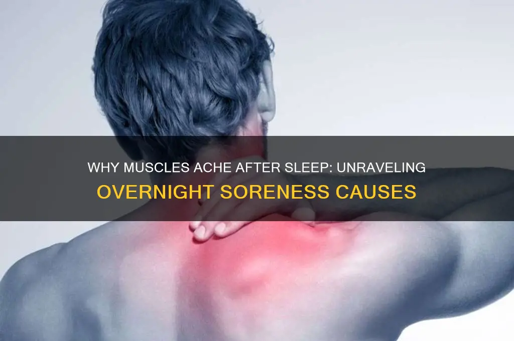 Why Muscles Ache After Sleep: Unraveling Overnight Soreness Causes ...