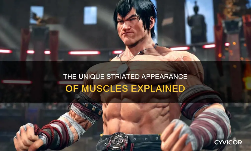 The Unique Striated Appearance Of Muscles Explained | CyVigor