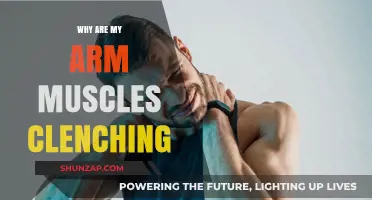 Nerve Supply To Upper Arm Muscles: Anatomy And Function Explained | CyVigor