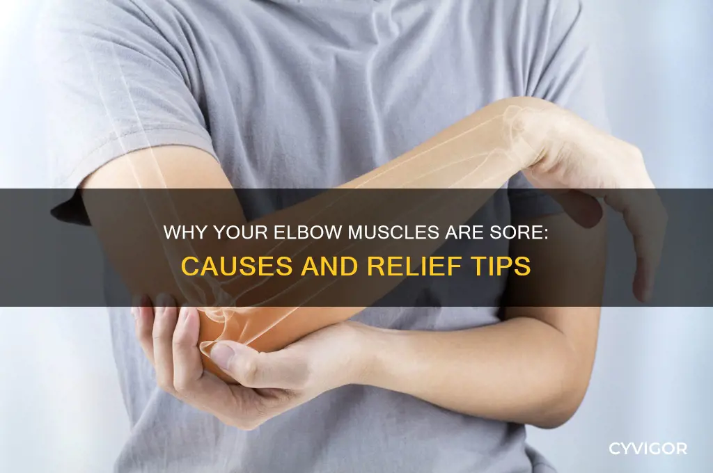 Why Your Elbow Muscles Are Sore: Causes And Relief Tips | CyVigor