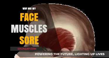 Why Your Ab Muscles Are Sore: Causes And Remedies Explained | CyVigor