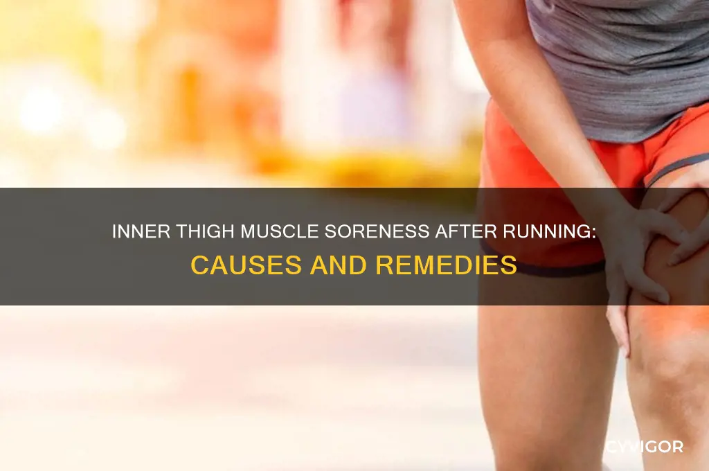 Inner Thigh Muscle Soreness After Running: Causes And Remedies | CyVigor