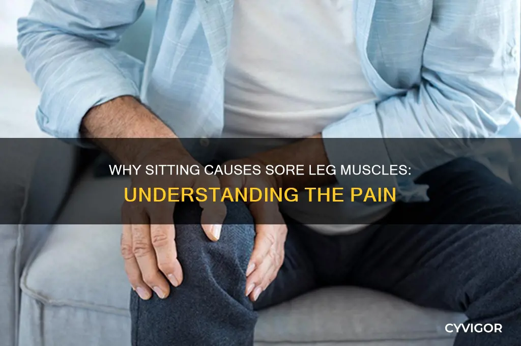 Why Sitting Causes Sore Leg Muscles: Understanding The Pain | CyVigor