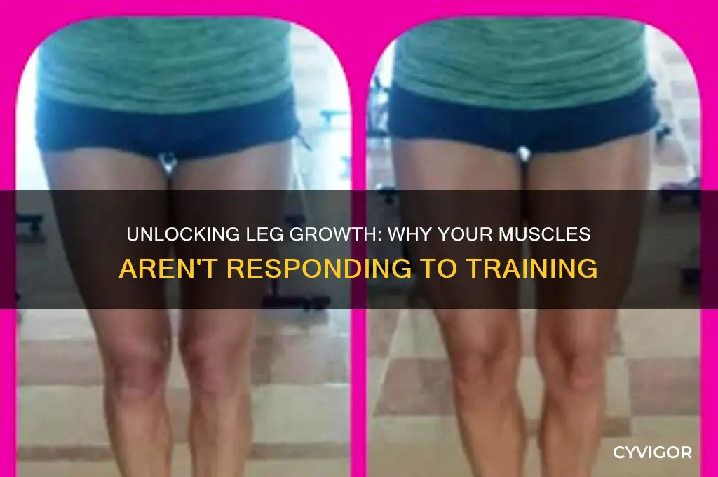 Unlocking Leg Growth: Why Your Muscles Aren't Responding To Training ...