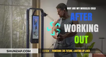 Why Muscles Feel Warm Post-Workout: Science Behind The Heat | CyVigor