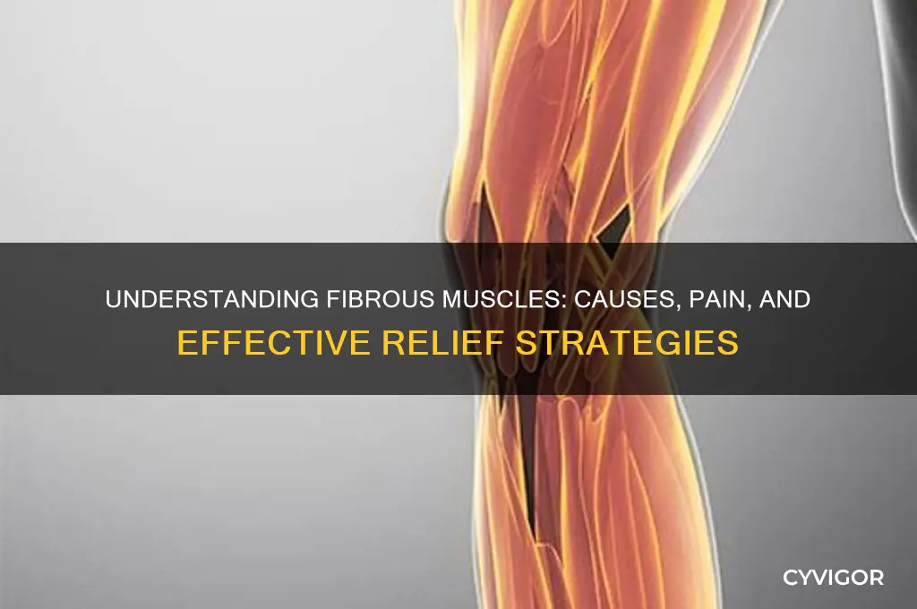 Understanding Fibrous Muscles: Causes, Pain, And Effective Relief ...