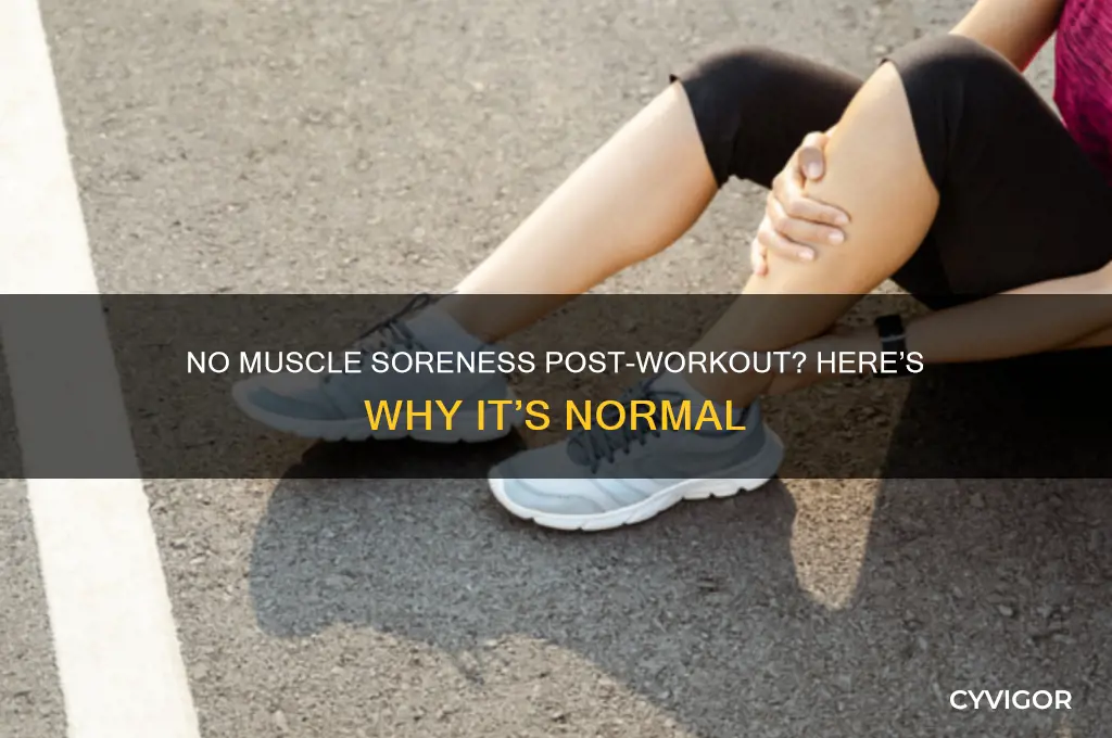 No Muscle Soreness Post-Workout? Here’S Why It’S Normal | CyVigor