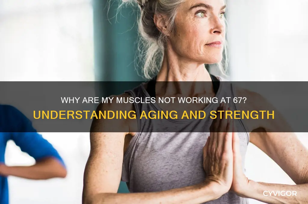 Why Are My Muscles Not Working At 67? Understanding Aging And Strength ...