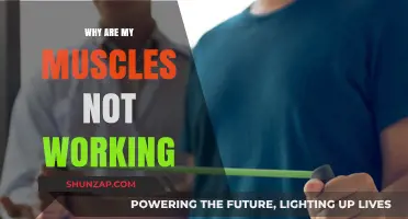 Post-Workout Chills: Understanding Cold Muscles After Exercise | CyVigor