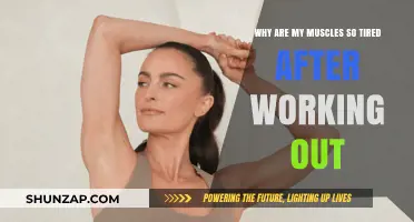 Post-Workout Chills: Understanding Cold Muscles After Exercise | CyVigor