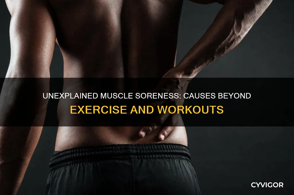 Unexplained Muscle Soreness: Causes Beyond Exercise And Workouts | CyVigor
