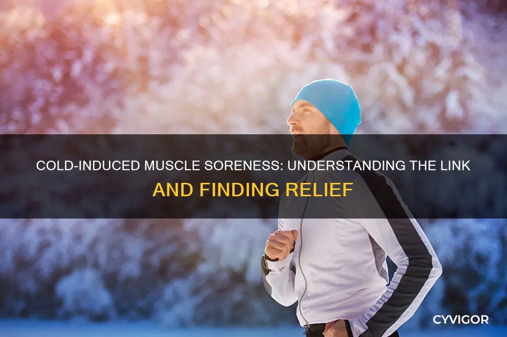 Cold-Induced Muscle Soreness: Understanding The Link And Finding Relief ...