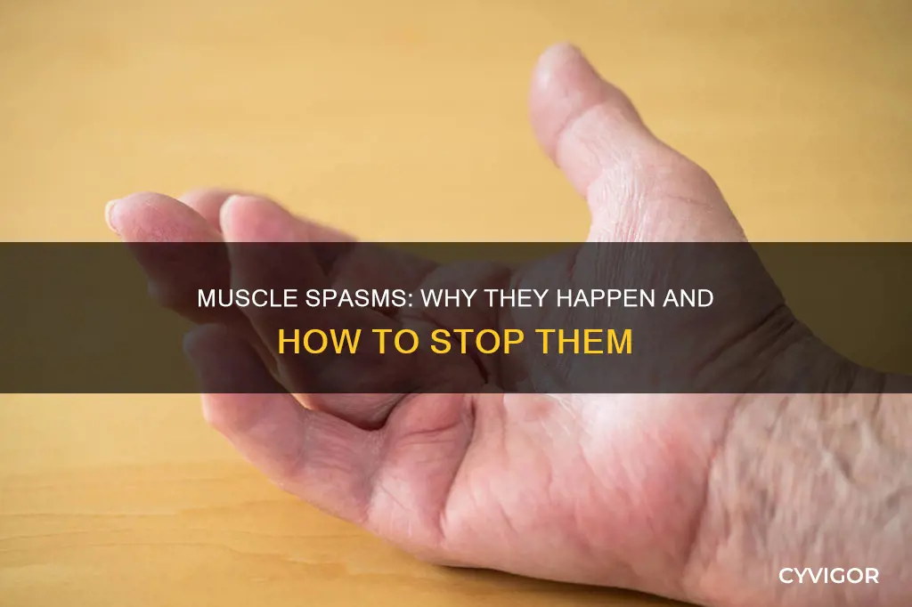 Muscle Spasms: Why They Happen And How To Stop Them | CyVigor