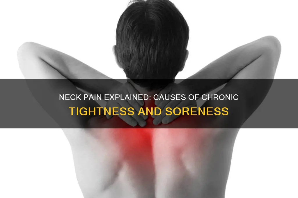 Neck Pain Explained: Causes Of Chronic Tightness And Soreness | CyVigor