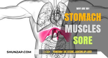 Muscle Soreness Explained: What Your Aching Muscles Are Telling You ...