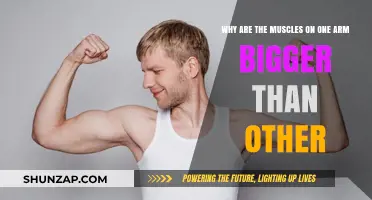 Broken Collarbone: How It Impacts Arm Function And Muscles | CyVigor