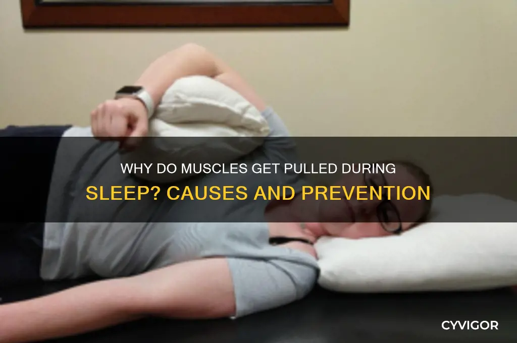 Why Do Muscles Get Pulled During Sleep? Causes And Prevention | CyVigor