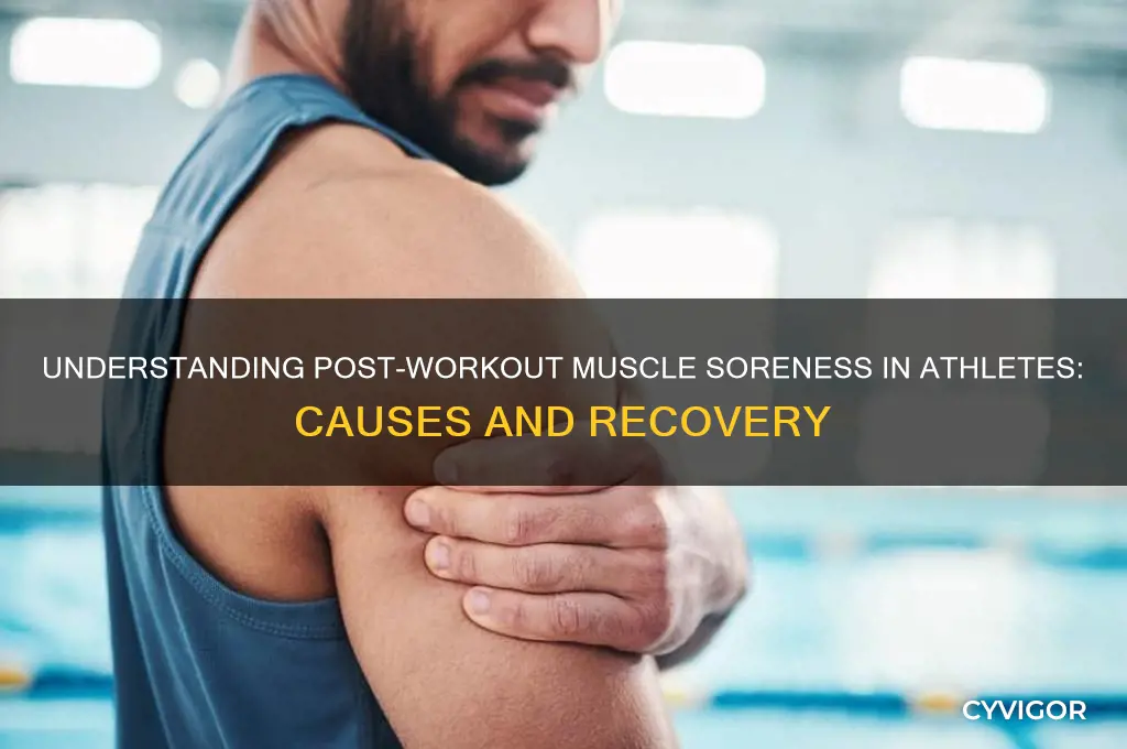 Understanding Post-Workout Muscle Soreness In Athletes: Causes And ...