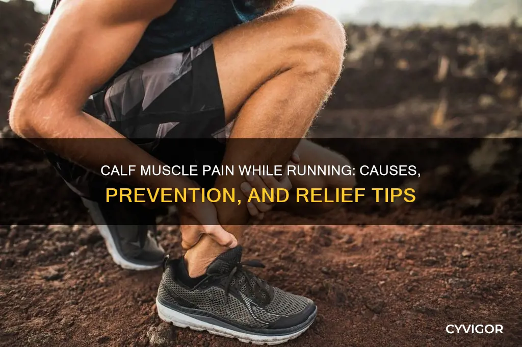 Calf Muscle Pain While Running: Causes, Prevention, And Relief Tips ...