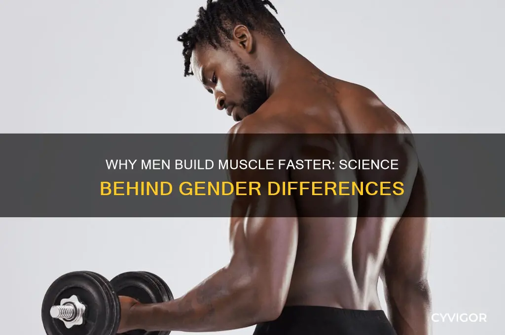 Why Men Build Muscle Faster: Science Behind Gender Differences | CyVigor